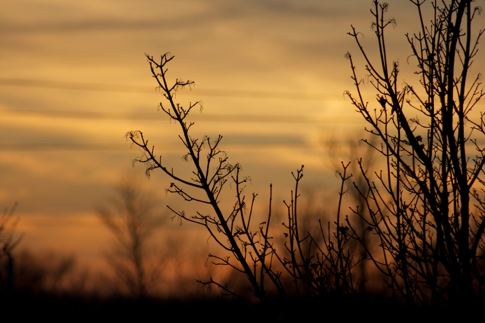 Sunset Photos Experimenting with Depth of Field [Stellar Neophyte ...