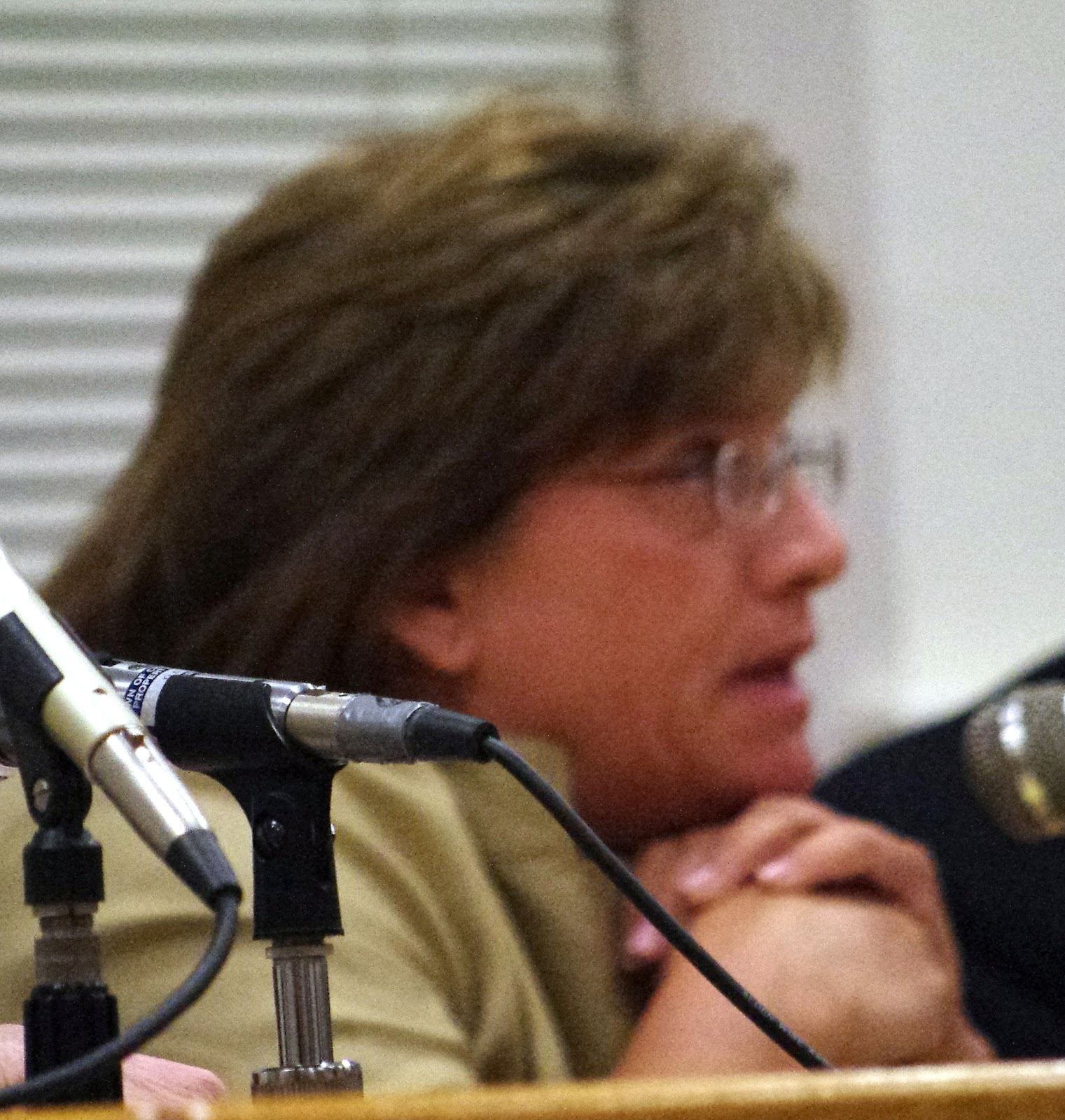 Progressive Charlestown: Dick Frank purged from the Zoning Board by the ...