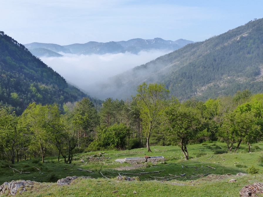Caminando por el Berguedà: 5/5/2017 – El castillo de Meranges