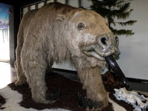 Megaterio (Megatherium)