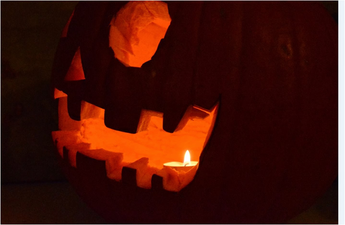 Cara's Animation Studio Practice: Apply Animation - Leek the Pumpkin ...