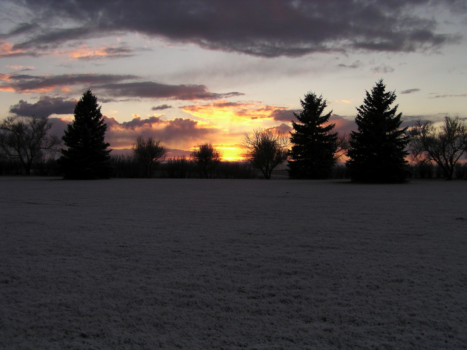 Travel with Kevin and Ruth: Foremost, Alberta