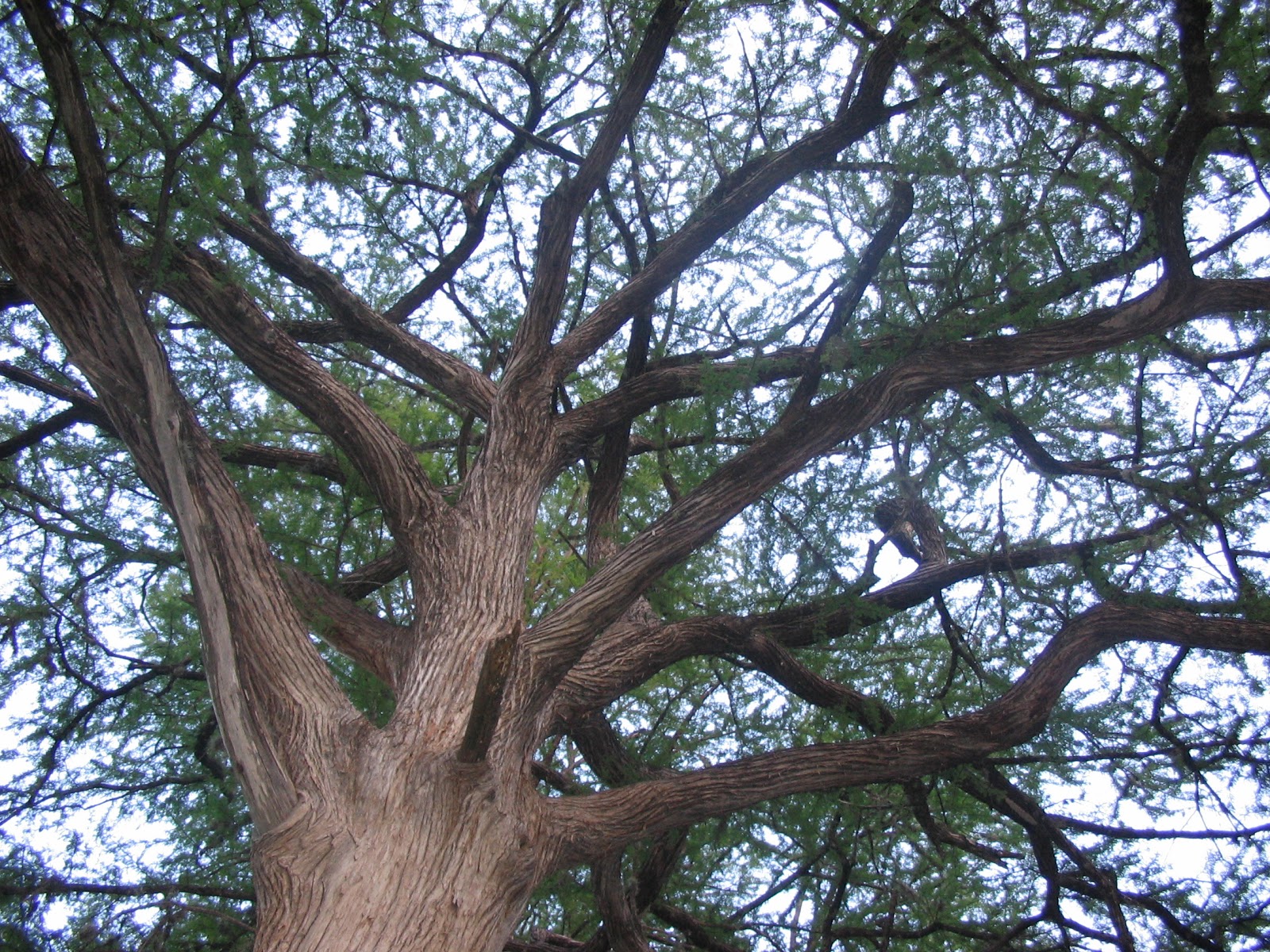 Day by Day with María: the nature of hope... hope in nature