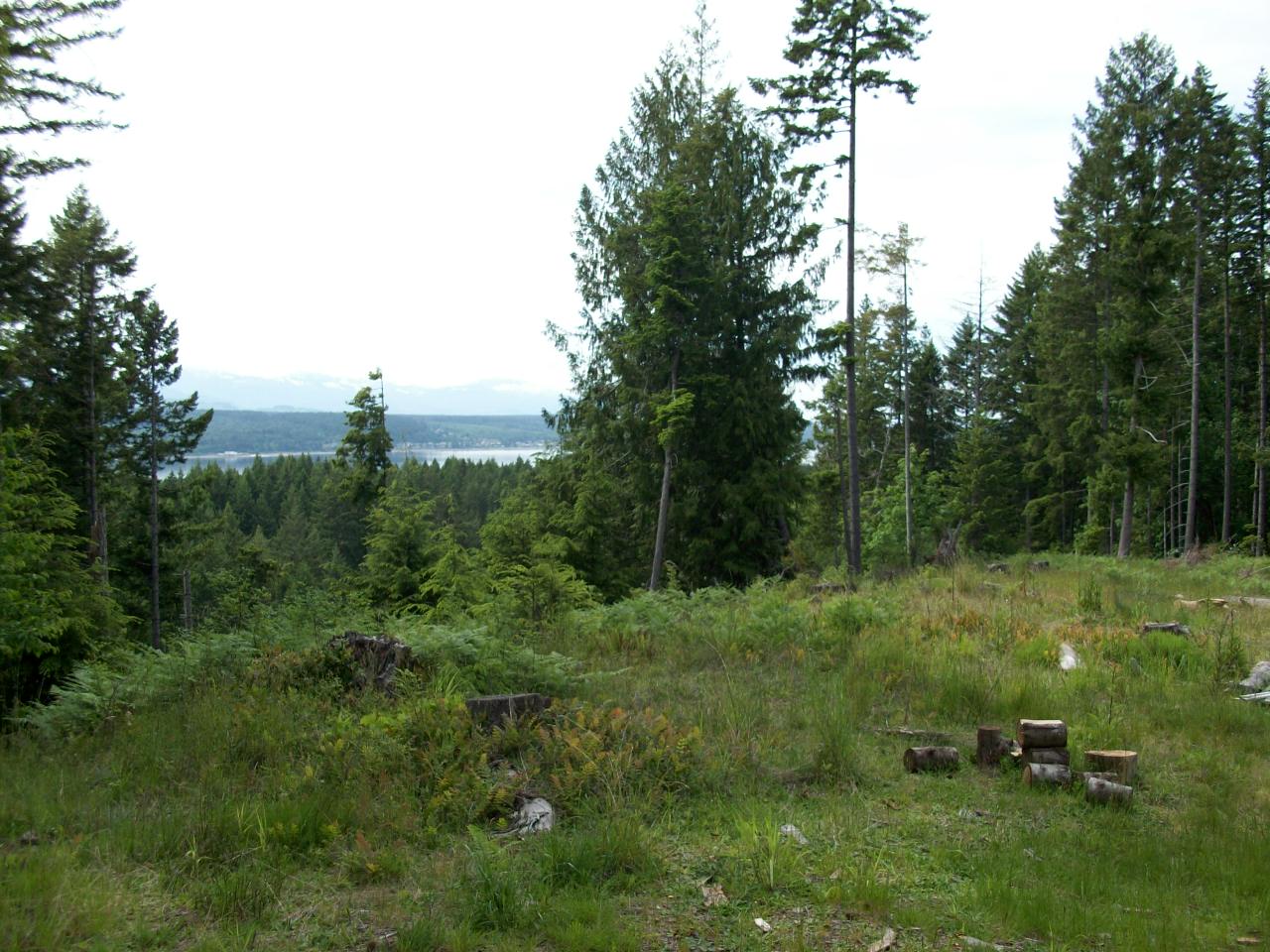 The Gnostic World Of Candy Minx: Denman Island