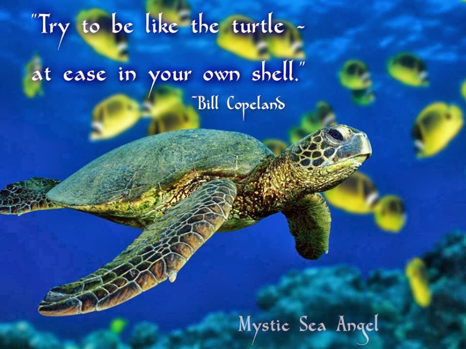 Lessons from Harry Potter for These Tumultuous and Transitional Times ...