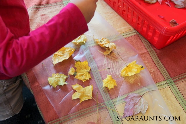 Leaves Craft and Fall Leaf Books - The OT Toolbox