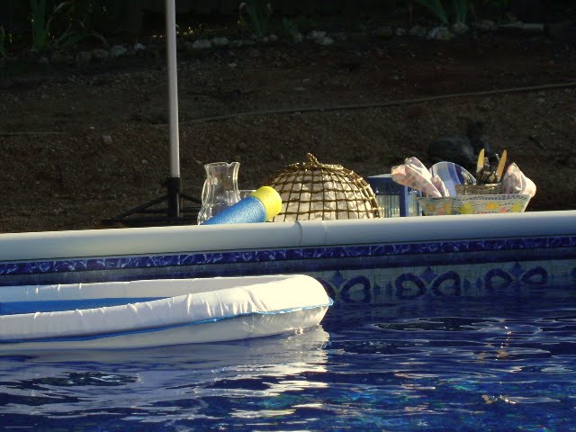 The Decorative Dreamer: Poolside Picnic