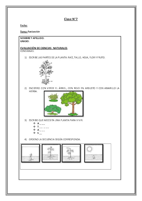 CLASIFICACIÓN DE LAS PLANTAS