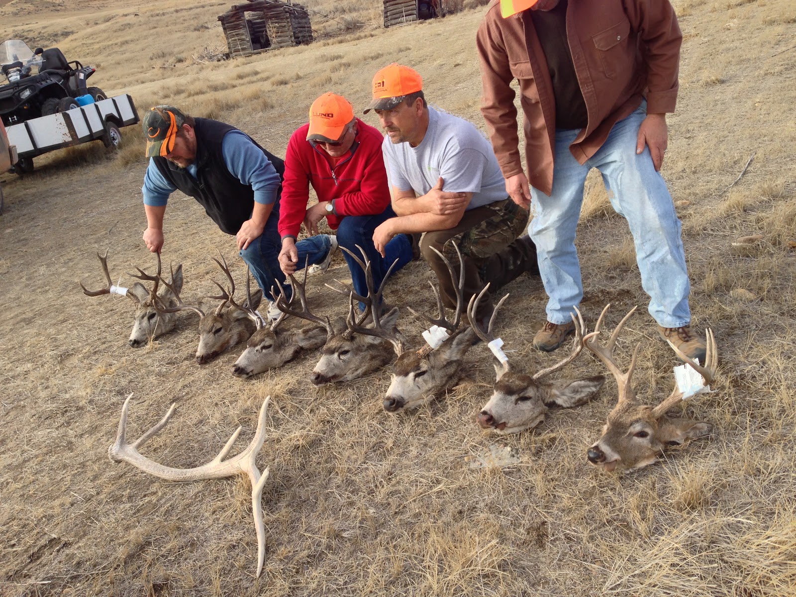 Bow Hunting: Montana Mule Deer Hunting 2012