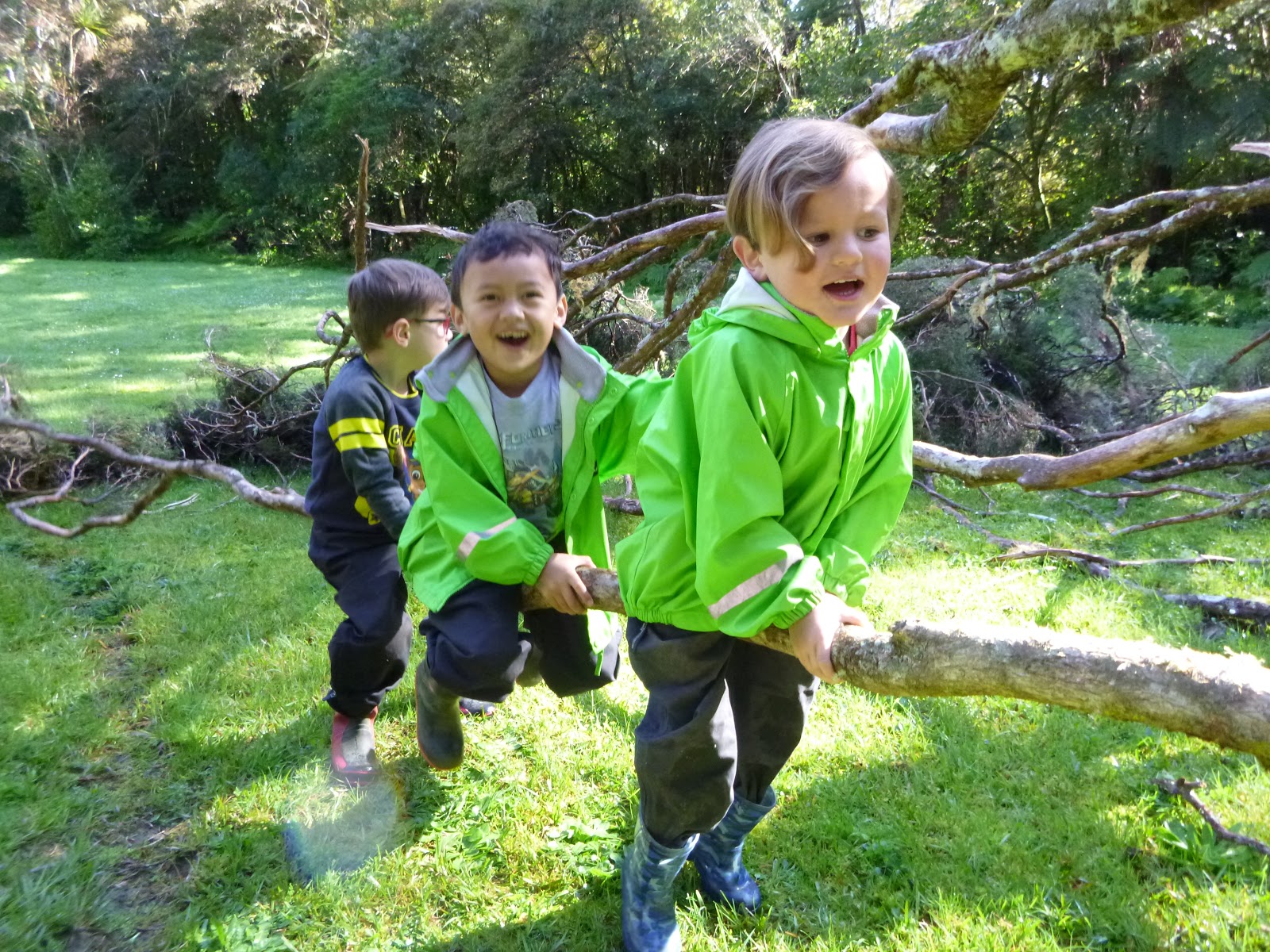 Mairtown Kindergarten: What a surprise discovery on the nature programme