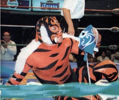 ¿QUIEN ES QUIEN? LUCHA LIBRE: FELINO el gato volador