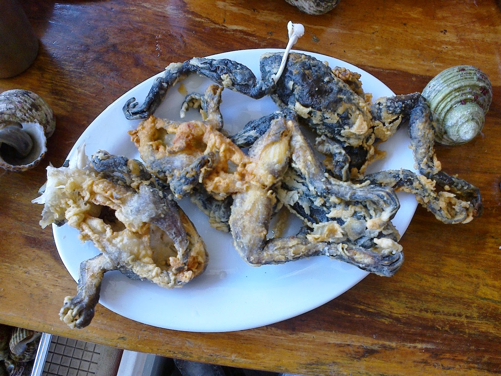 Pinay Local Tourist: Bicol Adventure