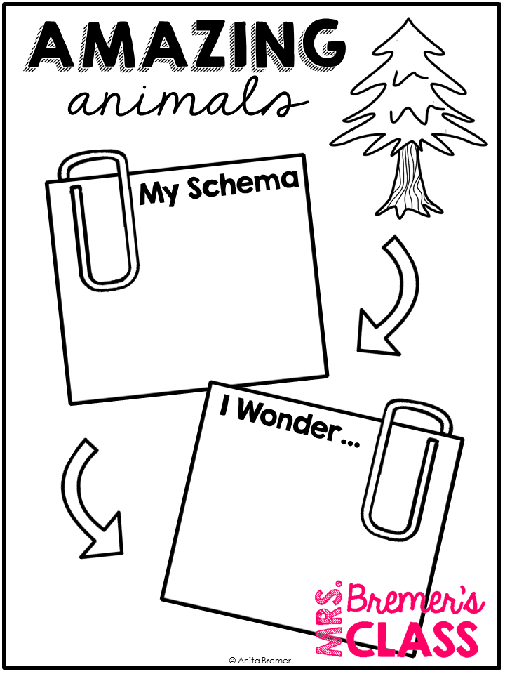 Animal Research Projects {for ANY animal} | Mrs. Bremer's Class