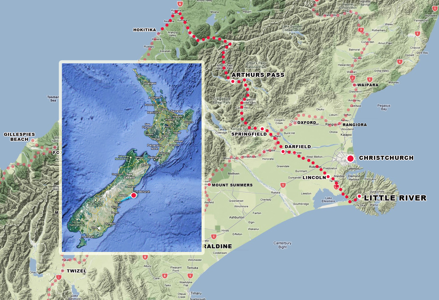 the bicycle diaries: Little River, New Zealand - The birds