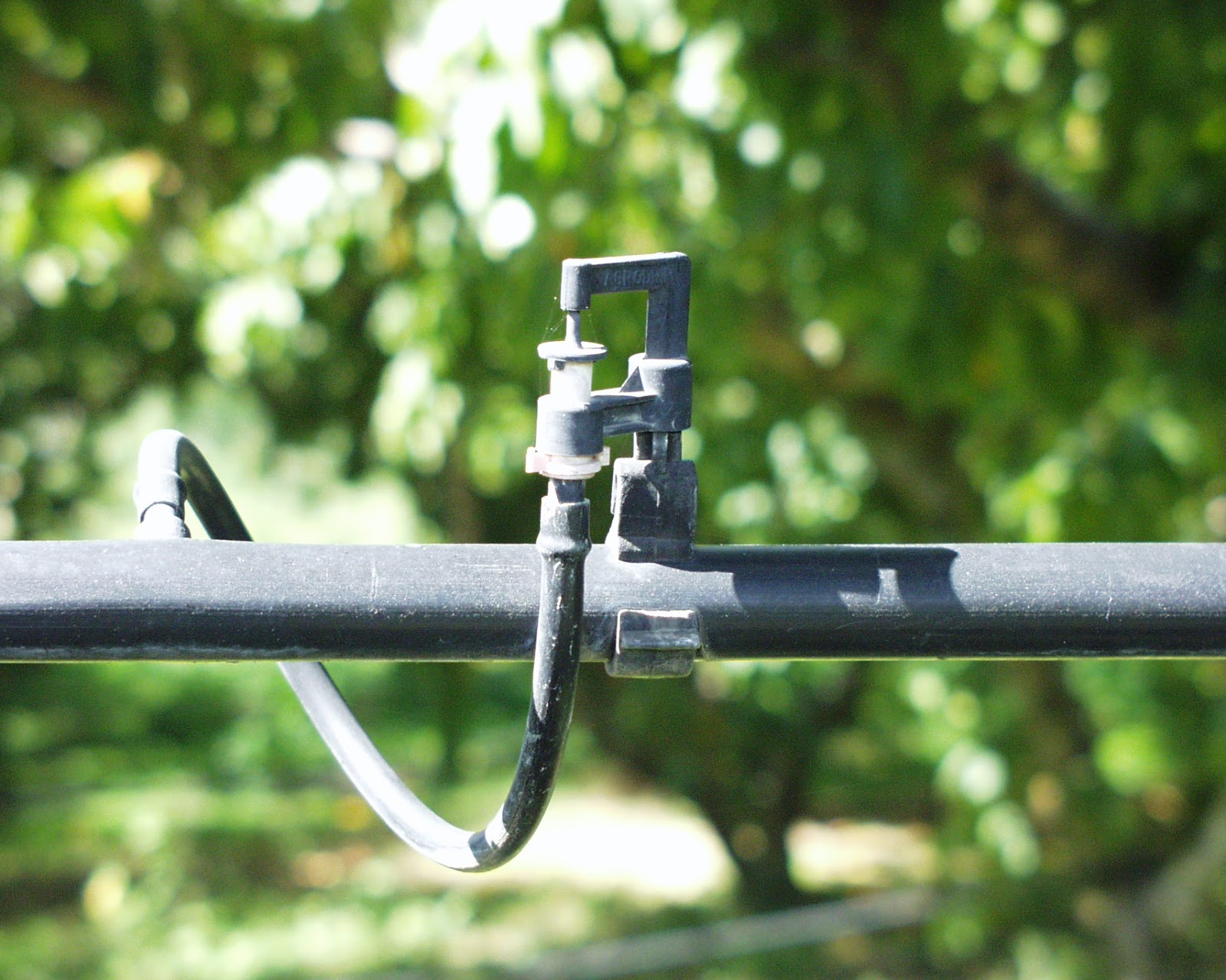 Αειφορική Γεωργία