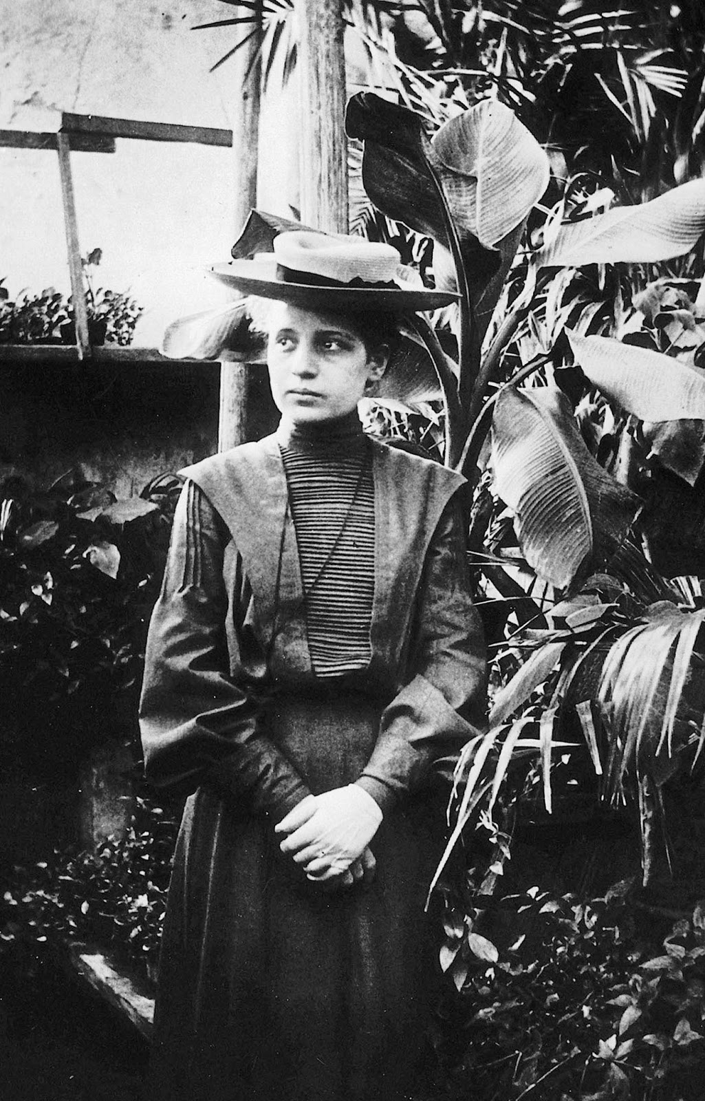 The Curious Wavefunction: Lise Meitner's 48 Nobel Prize nominations