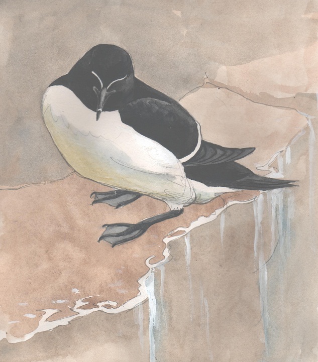 Wildlife Drawing Journal: June 2012