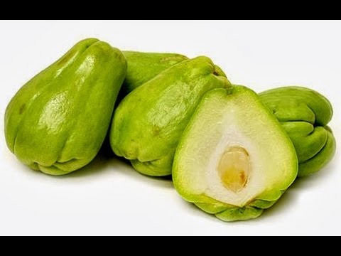 Waluh Hijau alias Labu Siam Ampuh Mengobati Ambeian alias Wasir | ilmair