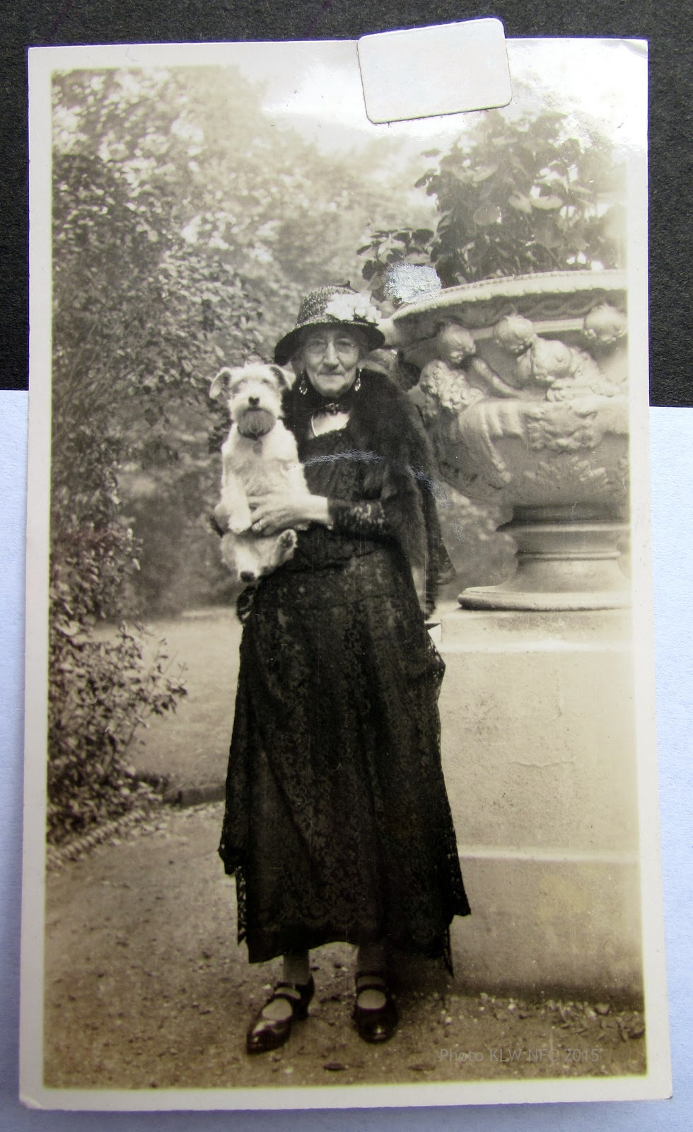 Thomas J. Nevin | Tasmanian Photographer: A distinguished forelock ...