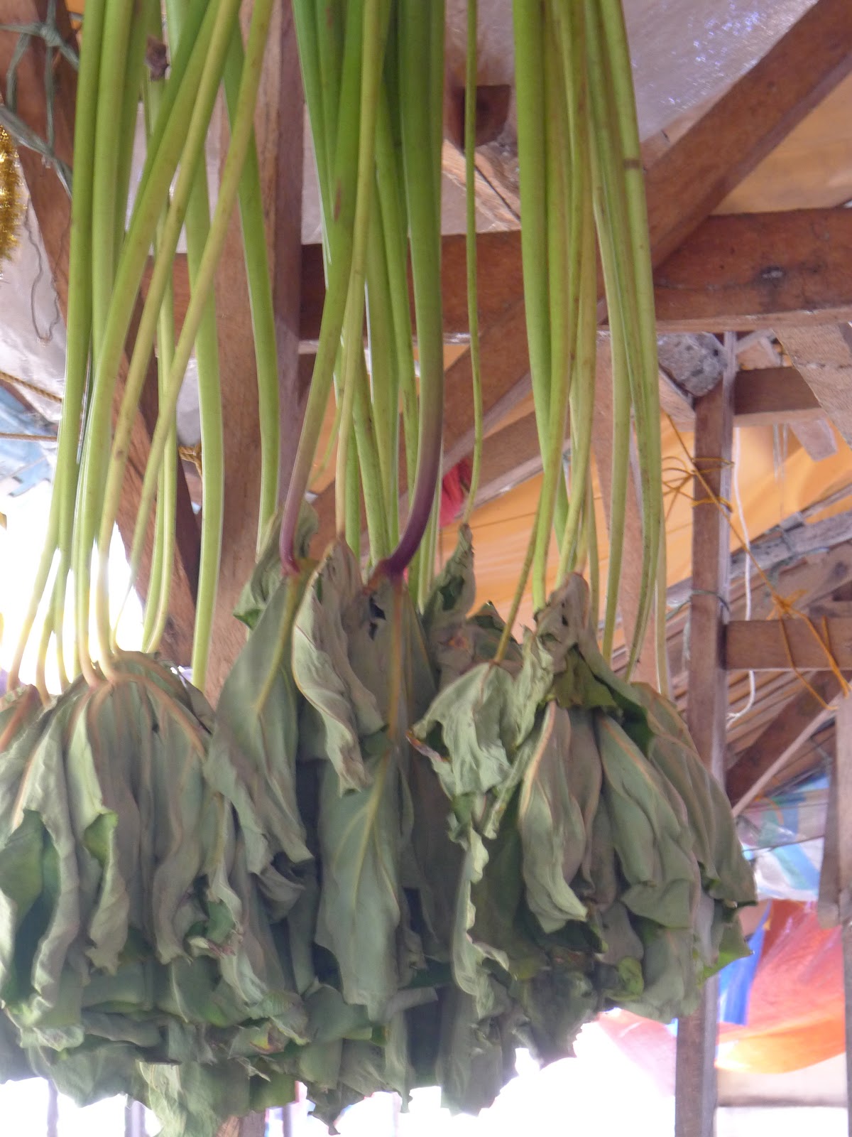 adventures in sustainability: Vegetables at the Legazpi City Market ...