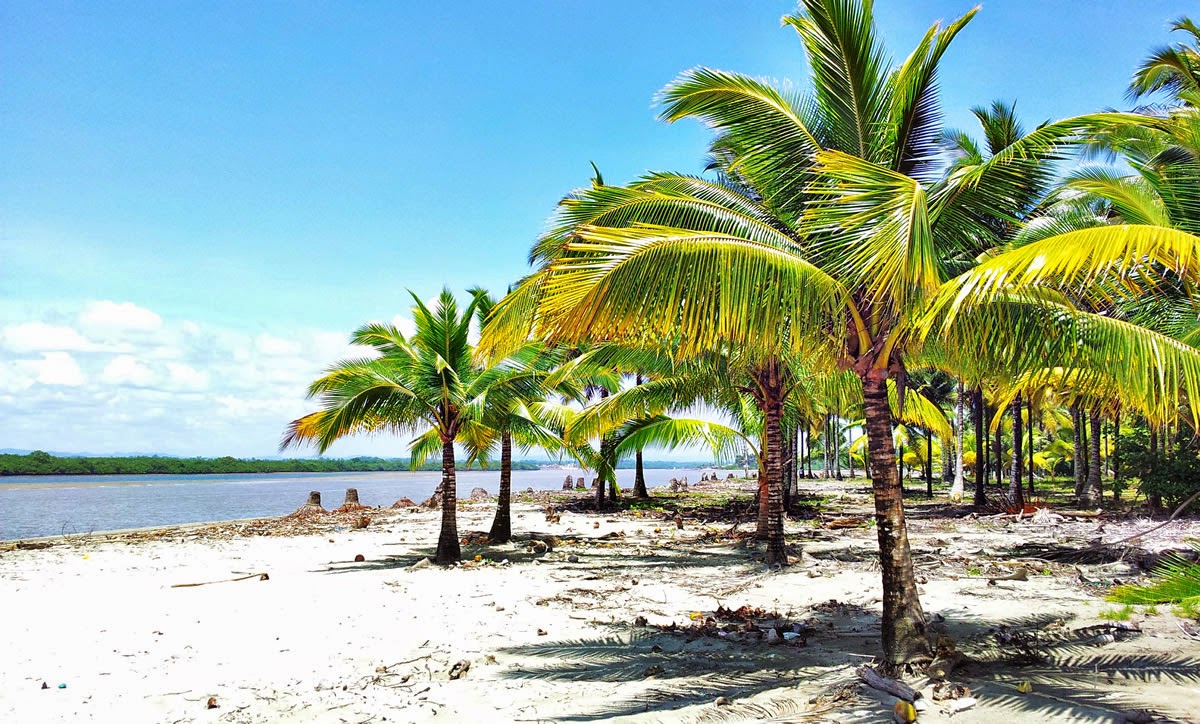 All You Need Is Ecuador: ECUADOR - Geografía