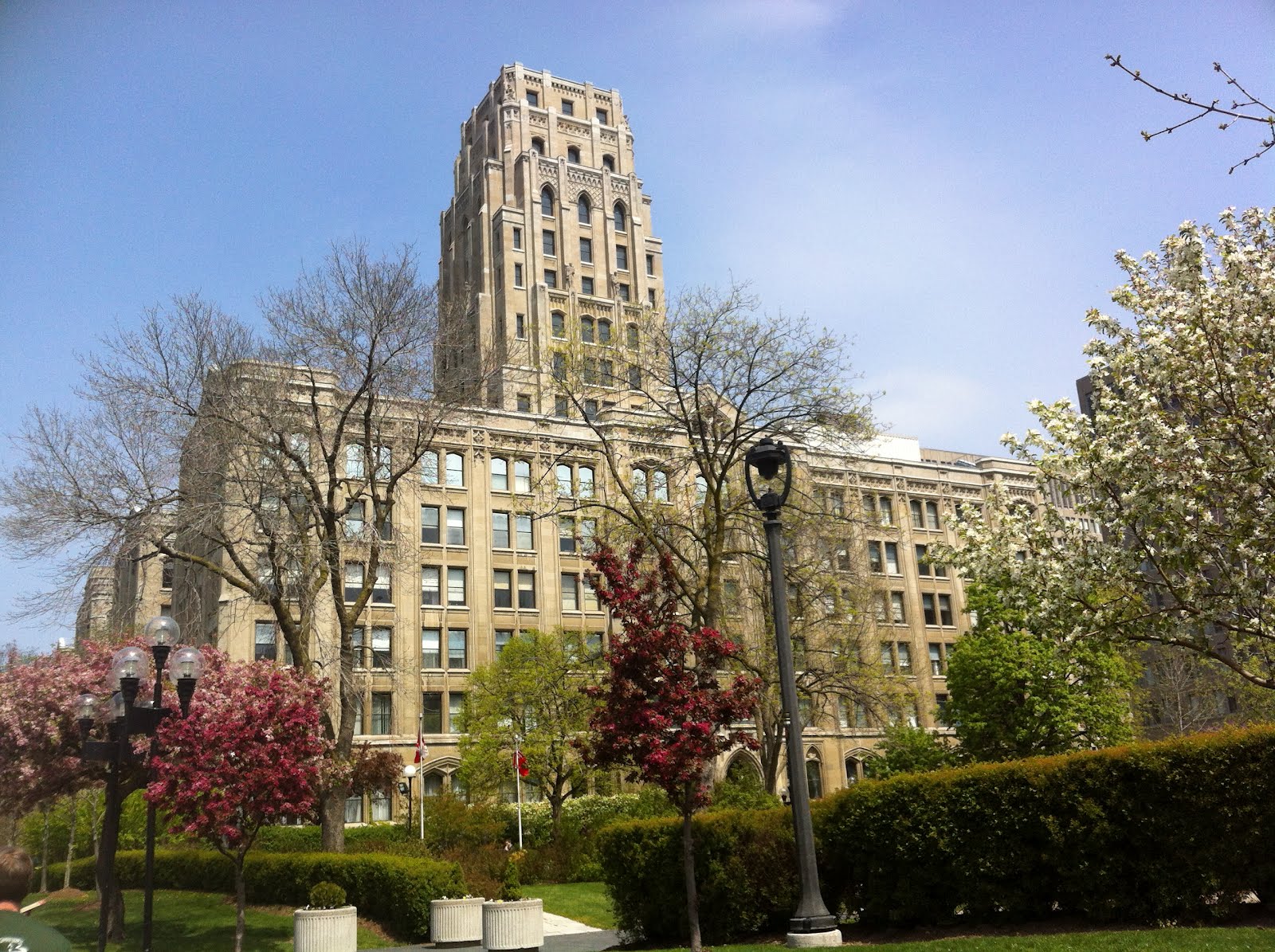 The Ironic Mr Fox: Queen's Park's Whitney Block Tower