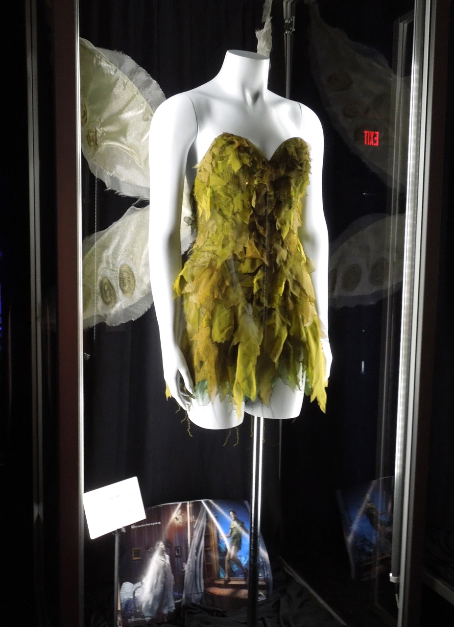 Hollywood Movie Costumes and Props: Disney Dream Portraits fairytale ...