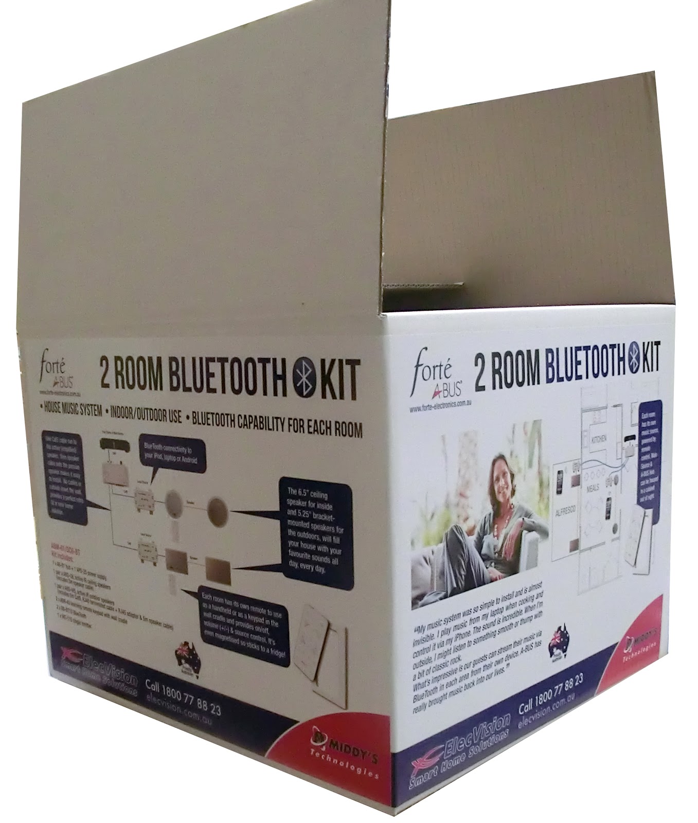 Lisa Friebel - Graphic Designer