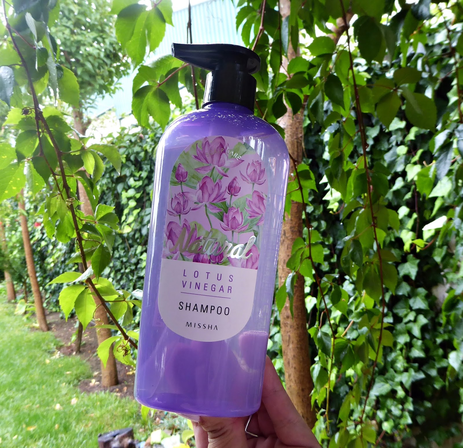 Envuelta en crema: Lotus vinegar shampoo de Missha, champú de flor de ...
