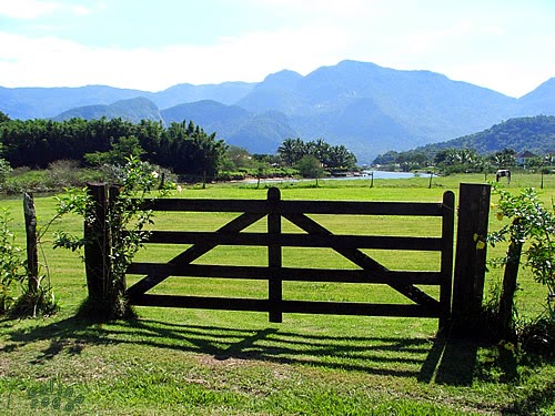 Repórter Rural: Porteira, ritual de passagem