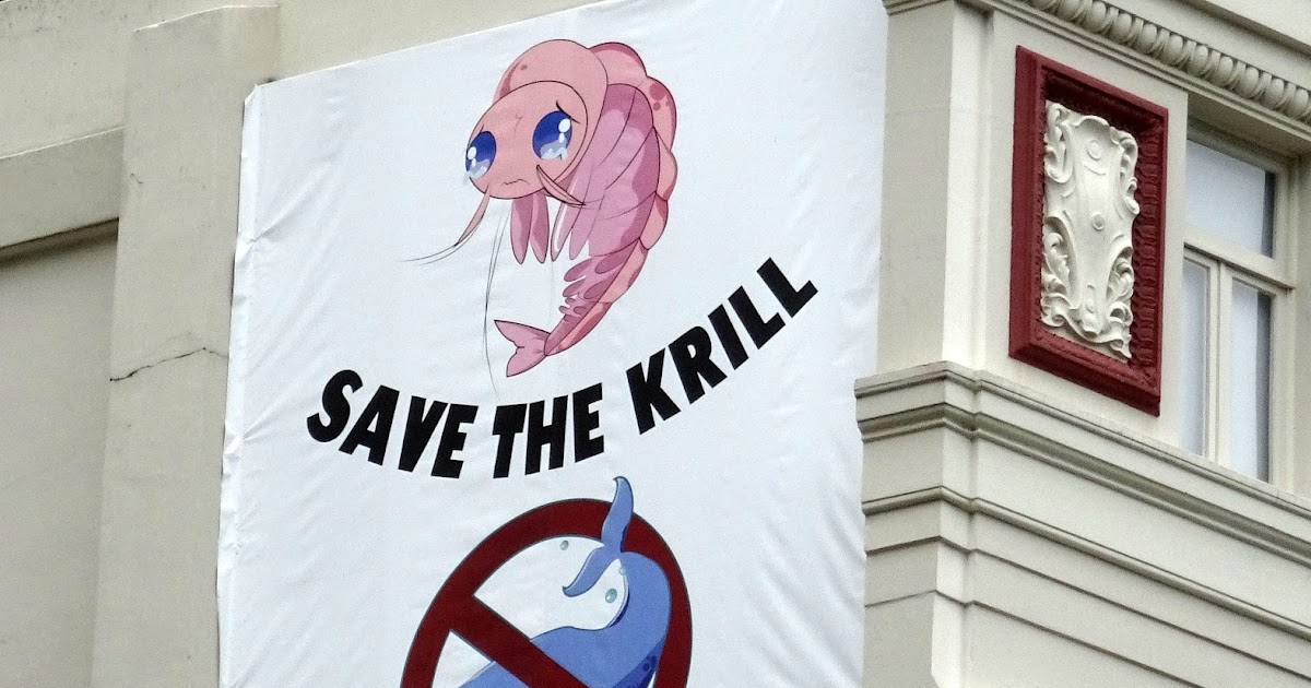 Tofu Photography: Save the Krill kill the whales sign on the side of a ...