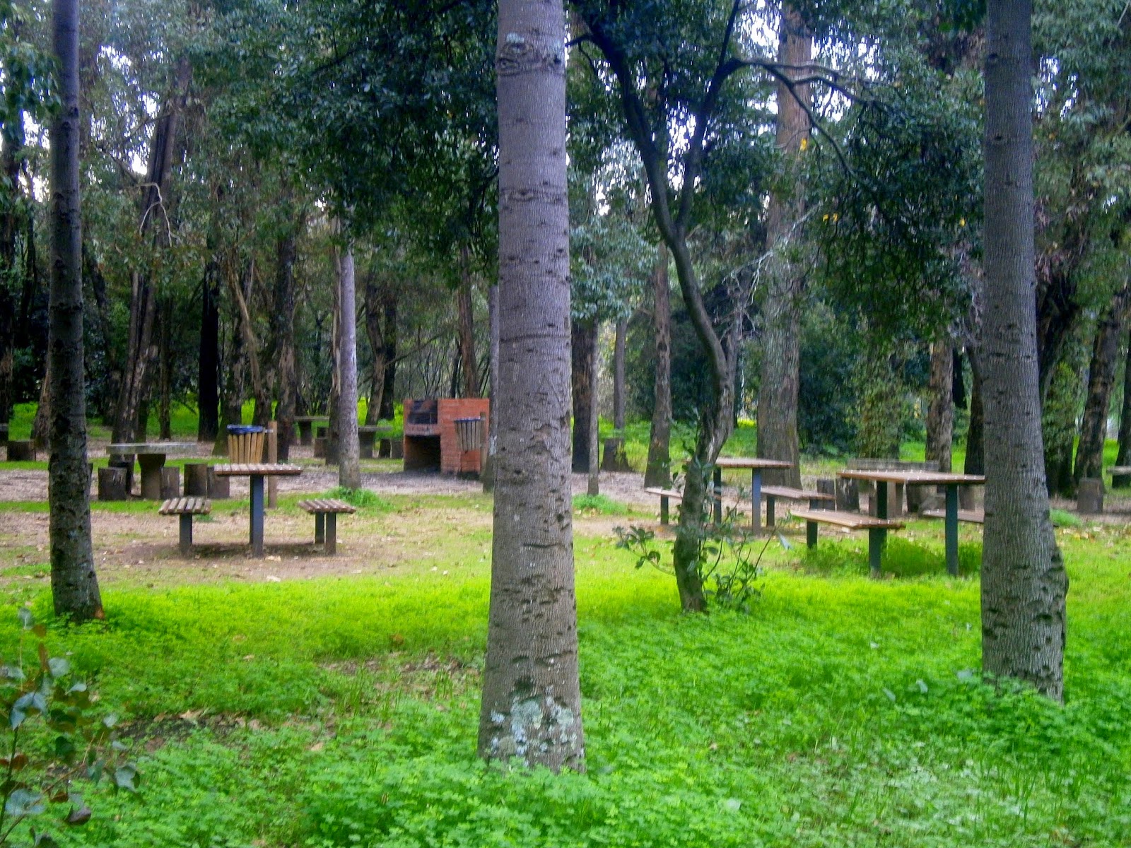 "Sua Maldade"...: Parque Florestal de Monsanto - Lisboa