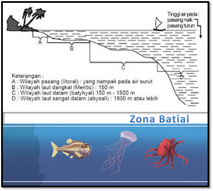 AMIGOS PARA SIEMPRE: Geología