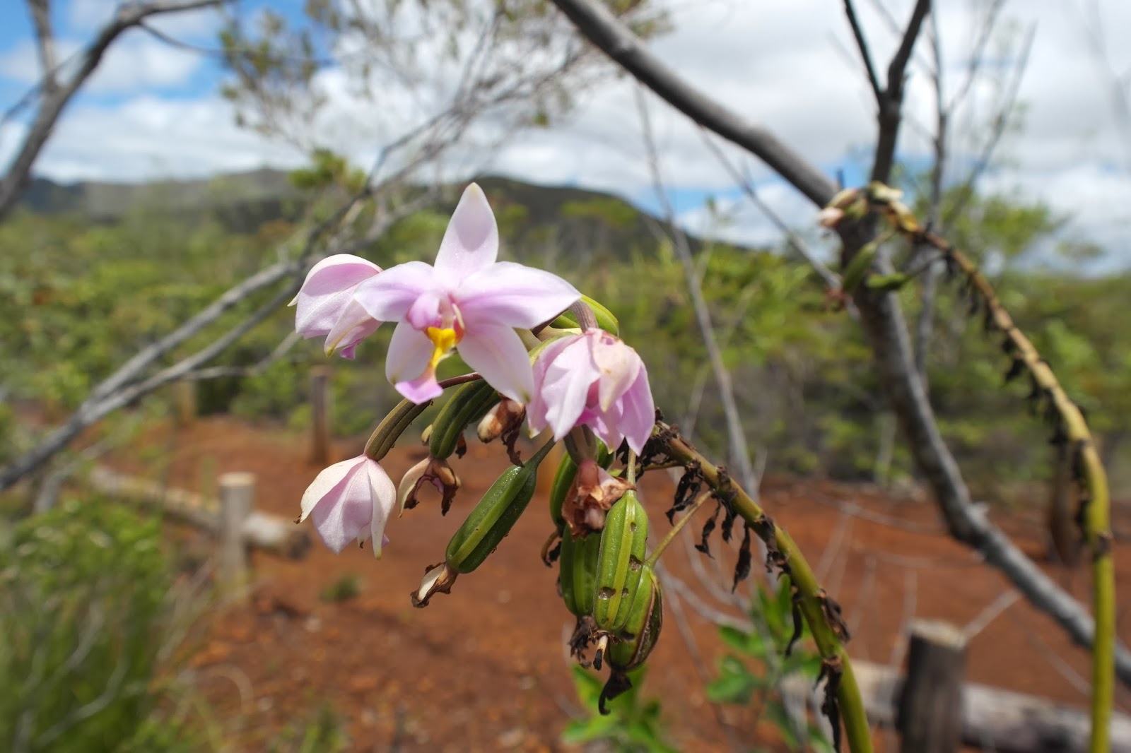 Sur ma route: Chutes de la madeleine.