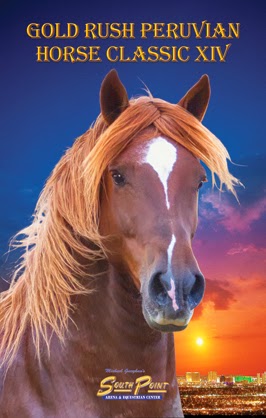 I Love Las Vegas Magazine...BLOG: Gold Rush Peruvian Horse Classic XIV ...