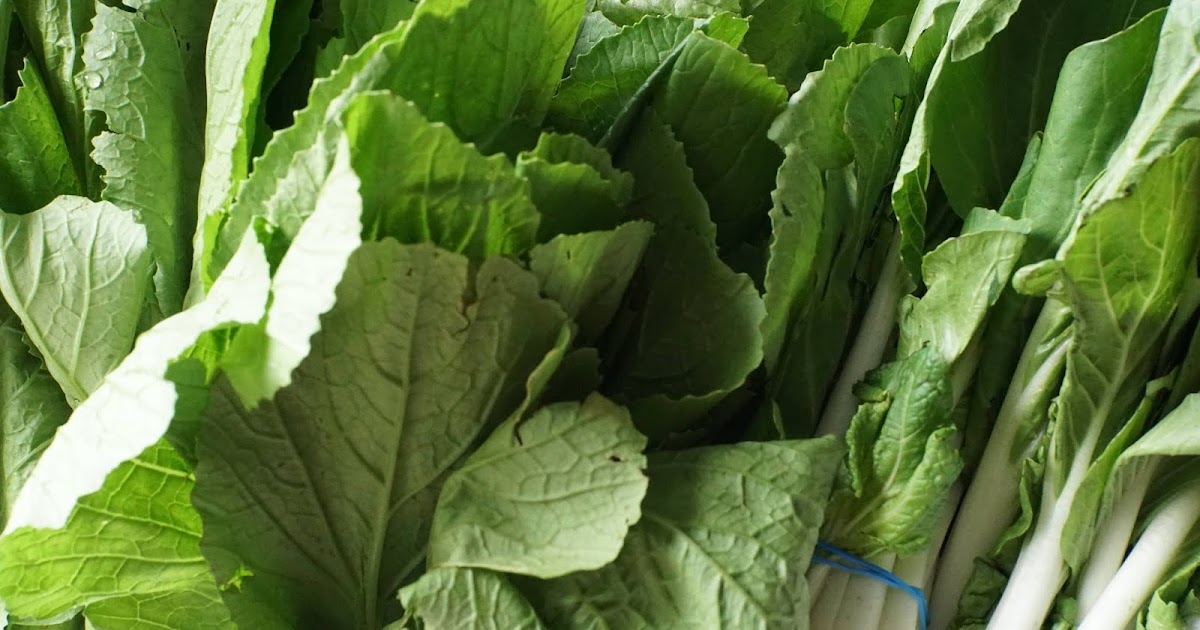 Stock Images by Wil Setias Dizon: Pechay