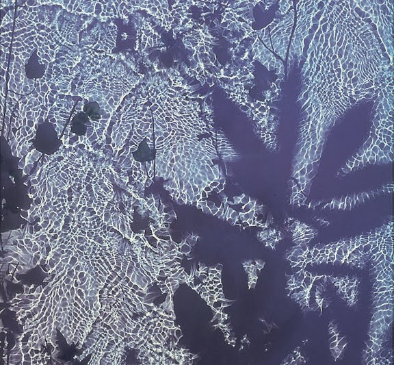 sjl photography: Earth Air Fire Water - Water - Flora Borsi - Susan Derges