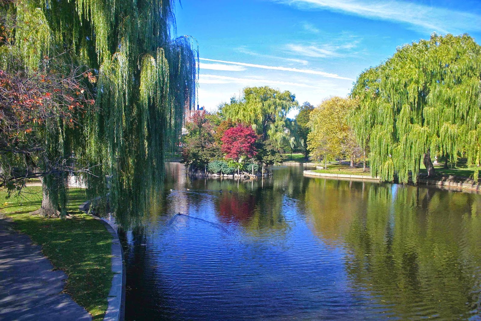 Viajero Turismo: El Boston Common es el parque público más antiguo de ...