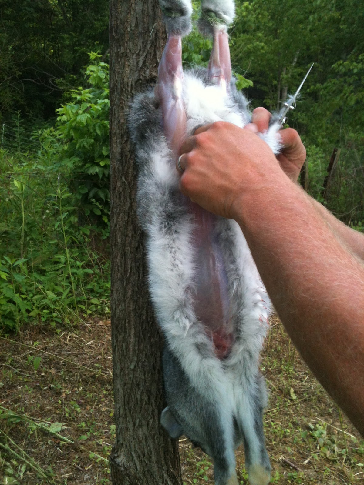 Deak's Farms: How to Skin a Rabbit