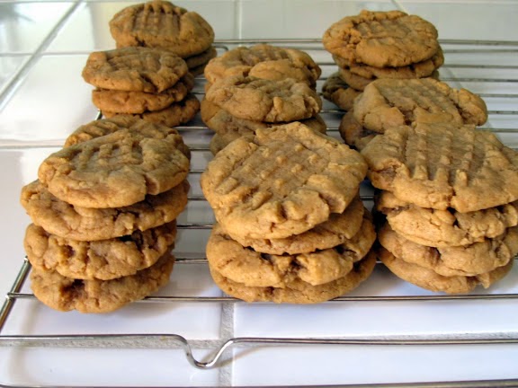 marta writes: a blog by marta dansie