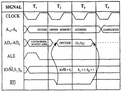 Education for ALL: Timing Diagram for Op-code Fetch Machine Cycle