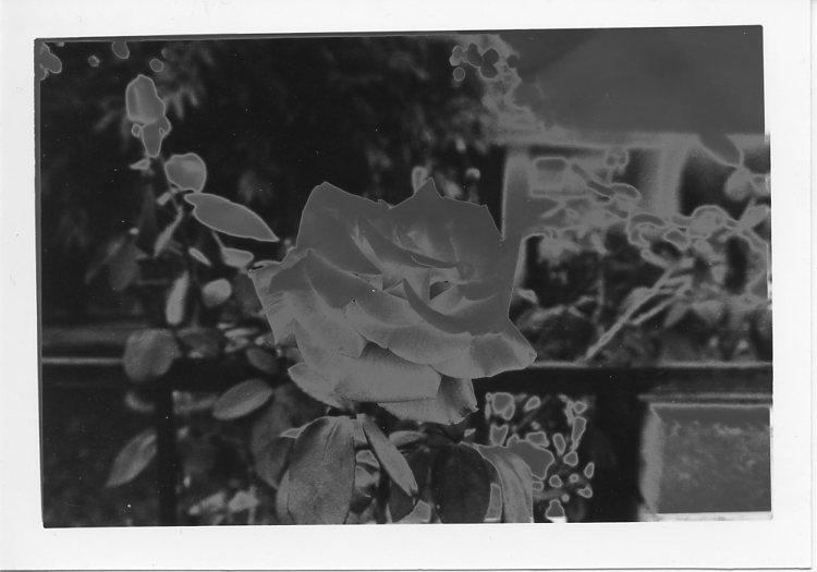 Kennedy High School Photography Solarization kennedy-high-school-photography-solarization