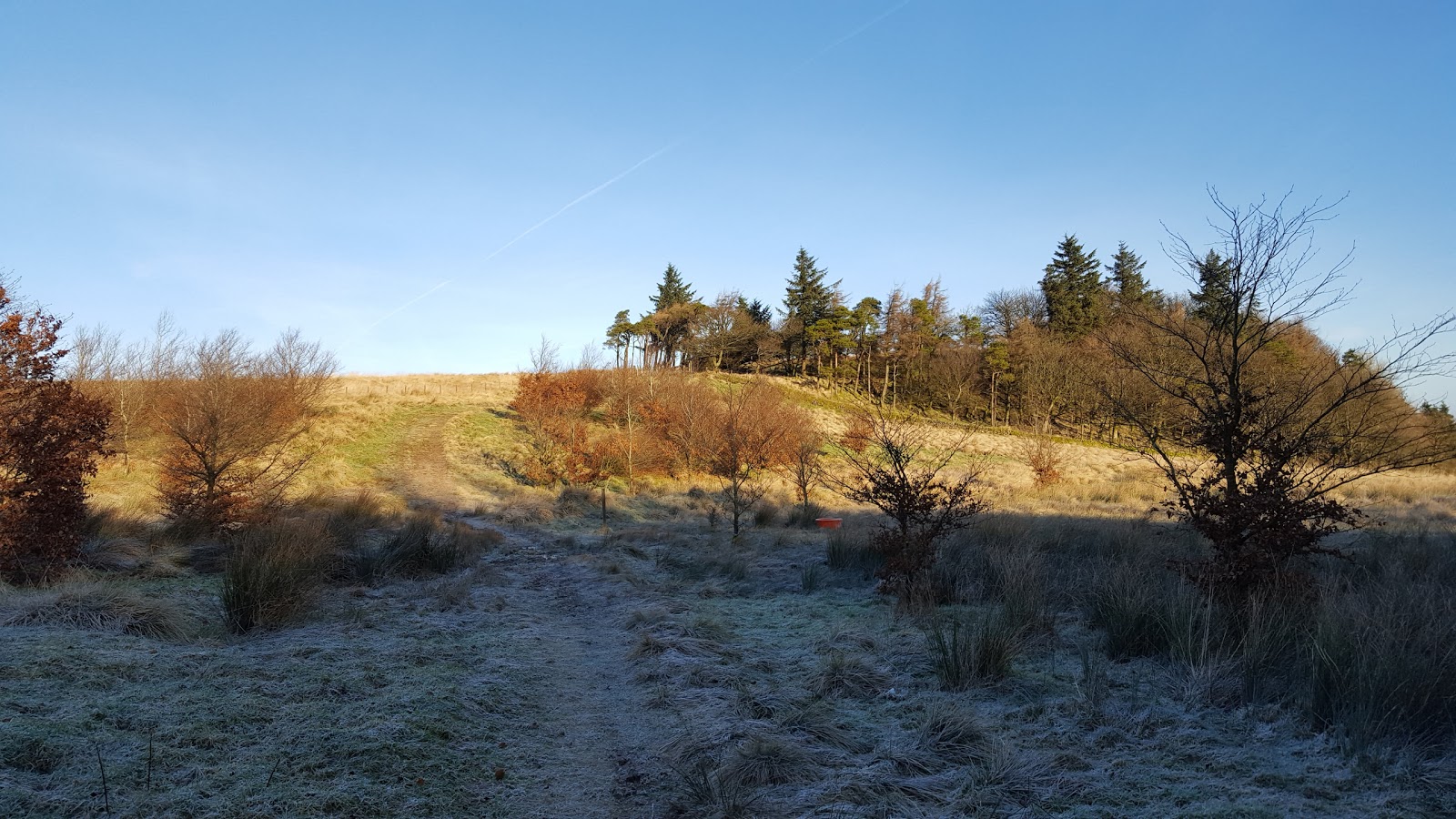 Neil's Hillwalking Exploits: A new year- Neilston Pad