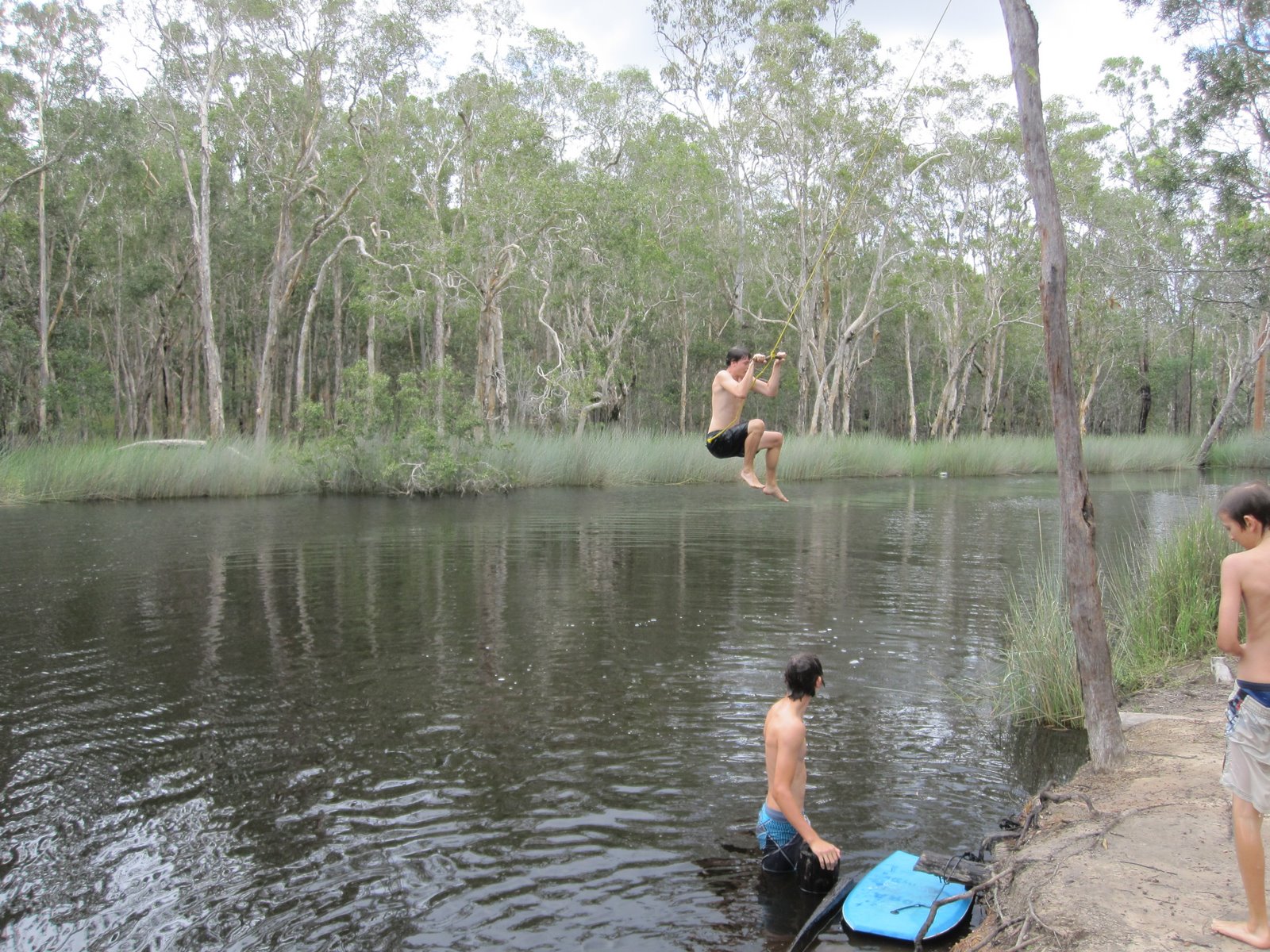 BACK TO THE BAY: Wongi State Forest