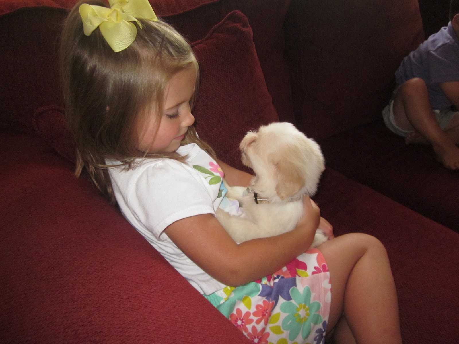 Poppy Popsicle Recipe | Mix and Match Mama