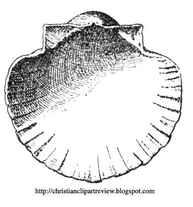 Baptism Shell Clip Art