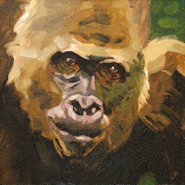 Daily Painters of Louisiana: Silverback