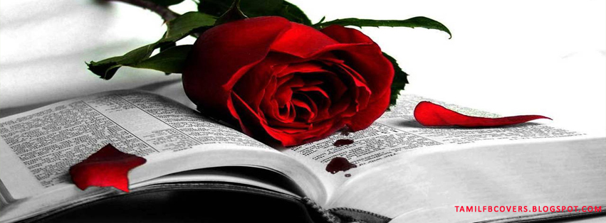 My India FB Covers: Red Rose On Book - Flower FB Cover