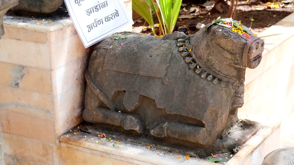 MUMBAI PAUSED: Ganpatrao Kadam Marg MUMBAI PAUSED: Ganpatrao Kadam Marg