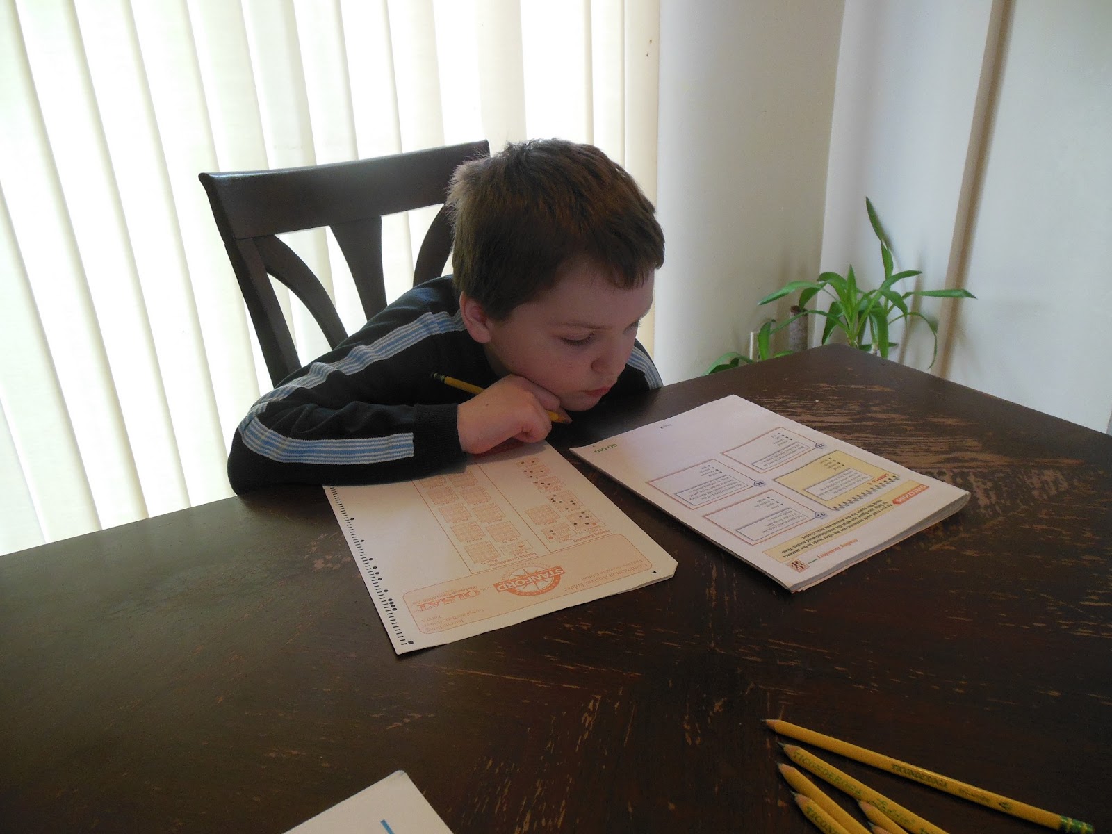 Standardized Testing for Homeschoolers – Eclectic Homeschooling